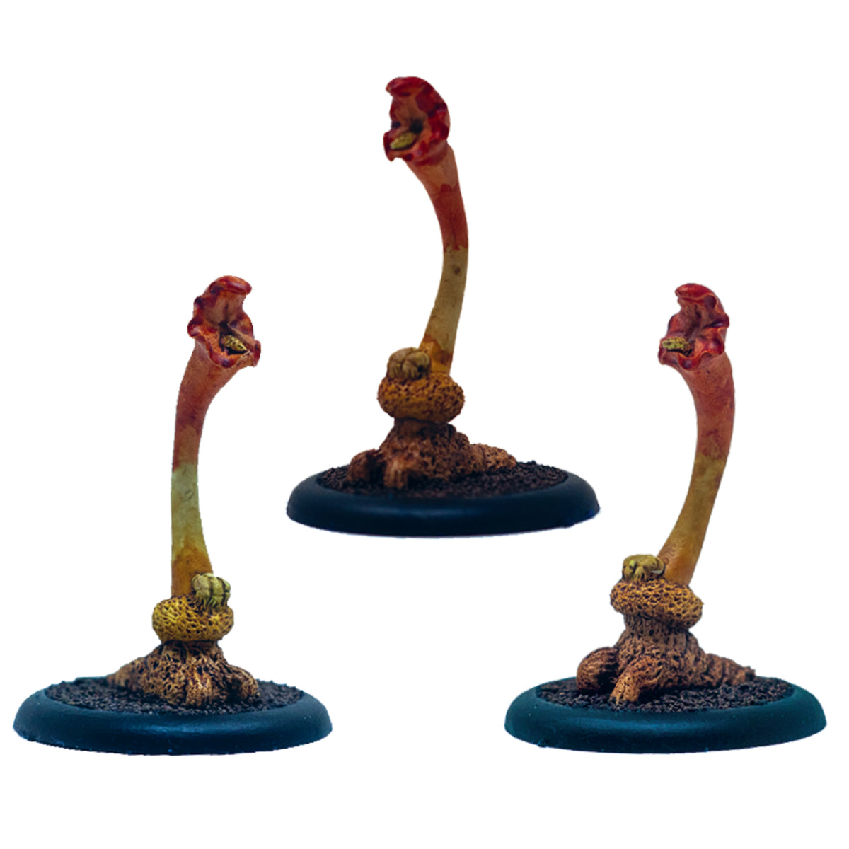 3 Carnivorous Plants – Hayland Terrain